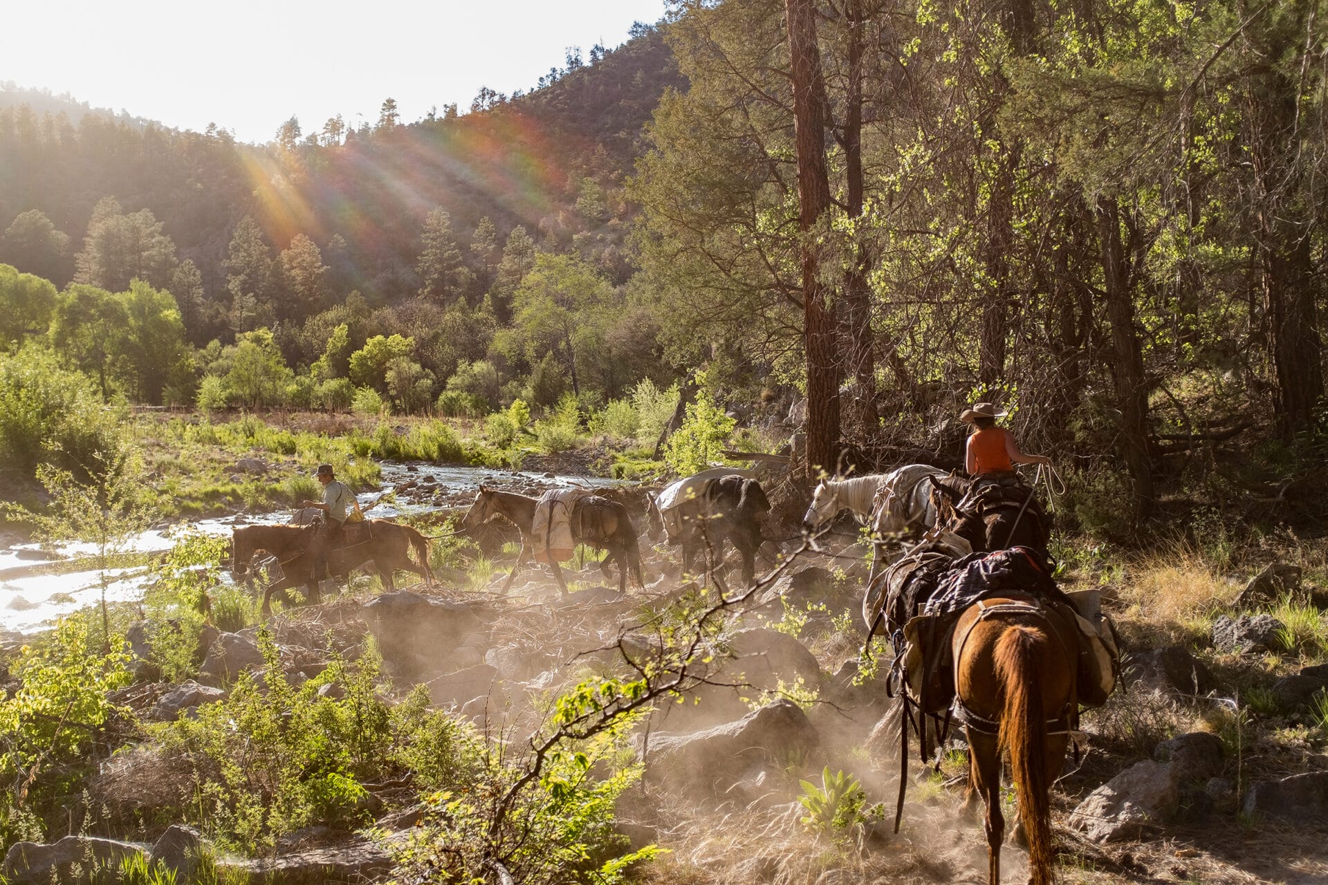 10 Things You Can Do In Roadless Areas - Trout Unlimited