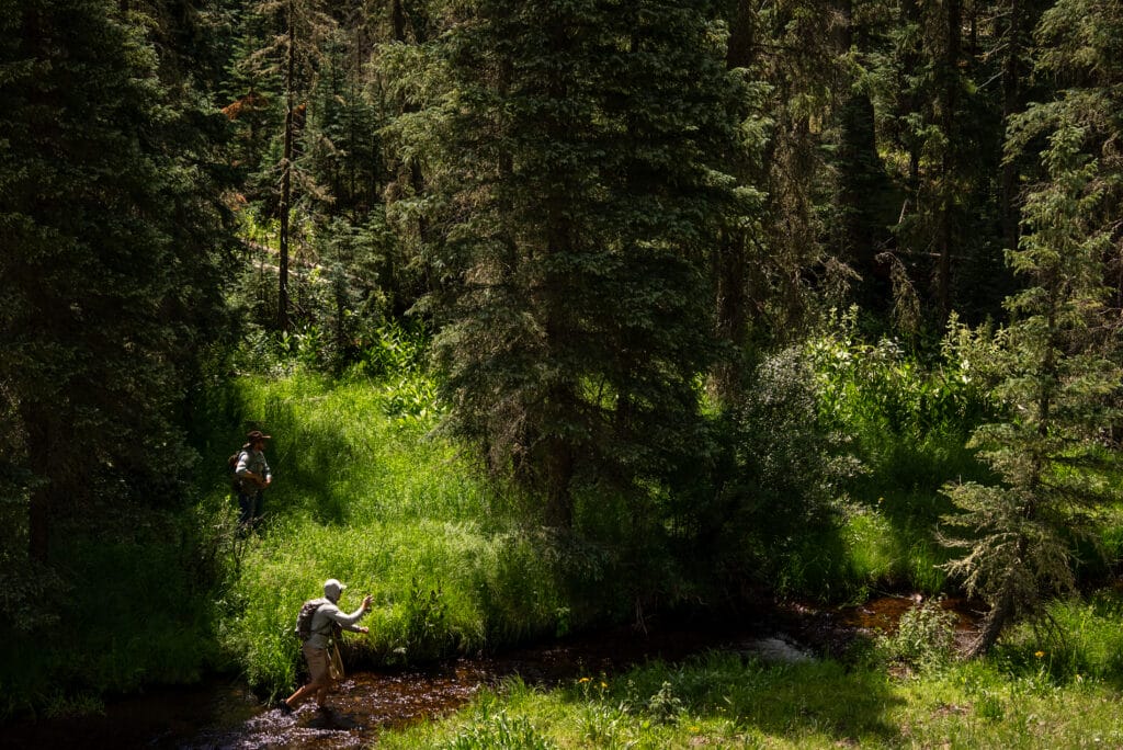 TROUT Tips – Roll Cast - Trout Unlimited