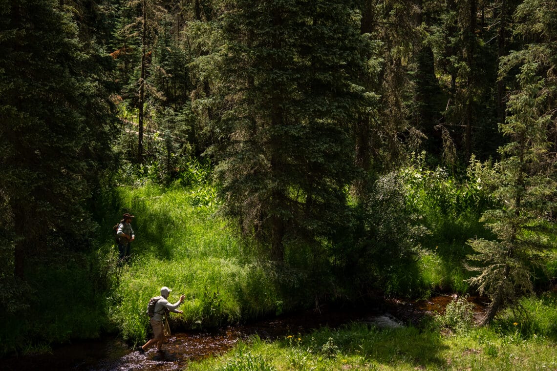 TROUT Tips – Roll Cast - Trout Unlimited