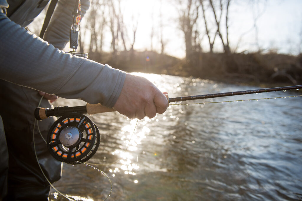 The True Cast - The 5 Questions You Should Ask About Fly Fishing ...